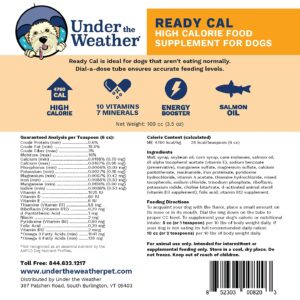 Under the Weather Pet | Ready Cal for Dogs 100cc | High Calorie Supplement | Weight Gainer and High Calorie Booster | 10 Vitamins, 7 Minerals & Omega Fatty Acids