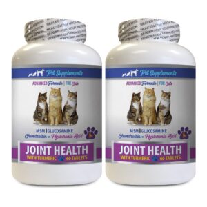 Pet Supplements cat Nutrient - CAT Turmeric for Joint Health - Advanced Joint Support - cat Immune System Support - 2 Bottles (120 Tablets)