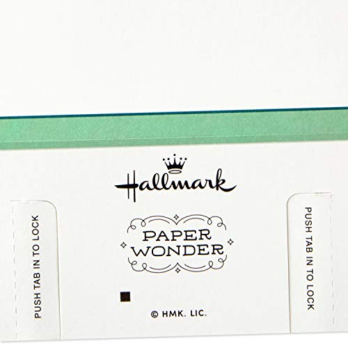 Hallmark Paper Wonder Displayable Pop Up Birthday Card (Gnomes), Model Number: 599RZW1020