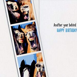 Horses in Photo Booth - Avanti Funny/Humorous Birthday Card