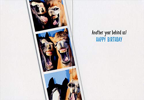 Horses in Photo Booth - Avanti Funny/Humorous Birthday Card