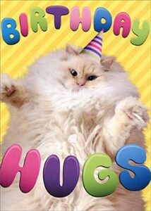 birthday hugs cat - avanti funny/humorous birthday card