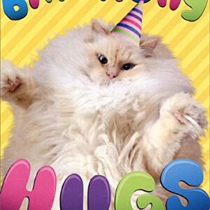 Birthday Hugs Cat - Avanti Funny/Humorous Birthday Card