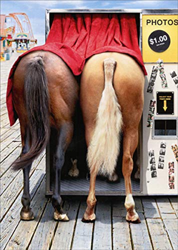 Horses in Photo Booth - Avanti Funny/Humorous Birthday Card