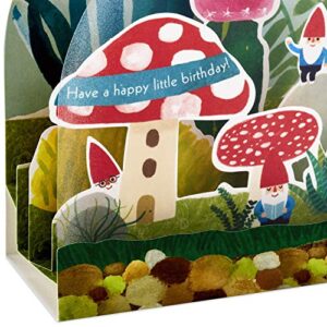 Hallmark Paper Wonder Displayable Pop Up Birthday Card (Gnomes), Model Number: 599RZW1020