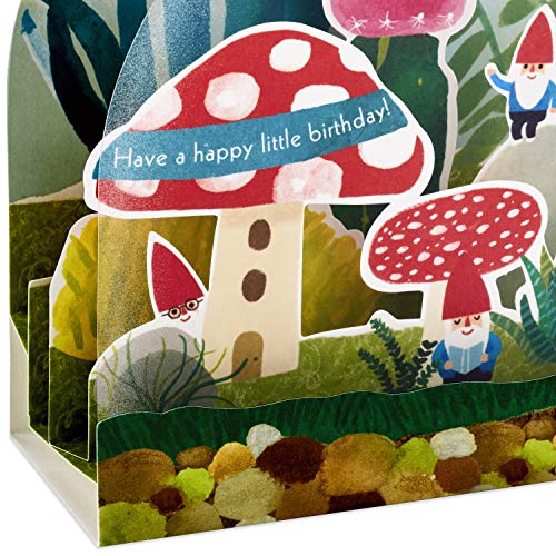 Hallmark Paper Wonder Displayable Pop Up Birthday Card (Gnomes), Model Number: 599RZW1020