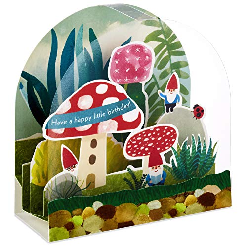 Hallmark Paper Wonder Displayable Pop Up Birthday Card (Gnomes), Model Number: 599RZW1020