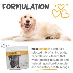 maxxipaws maxxicardio Heart & Cardiovascular Powder Supplement for Dogs, 5.3oz