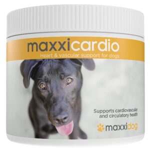 maxxipaws maxxicardio heart & cardiovascular powder supplement for dogs, 5.3oz