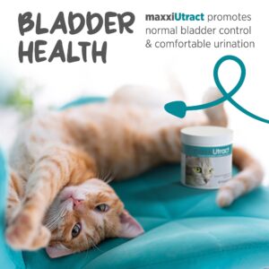 maxxipaws maxxiUtract Urinary & Bladder Support - Powder Supplement for Cats, 2.1oz