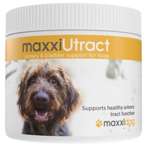 maxxipaws maxxiutract urinary & bladder support - powder supplement for dogs, 5.3oz