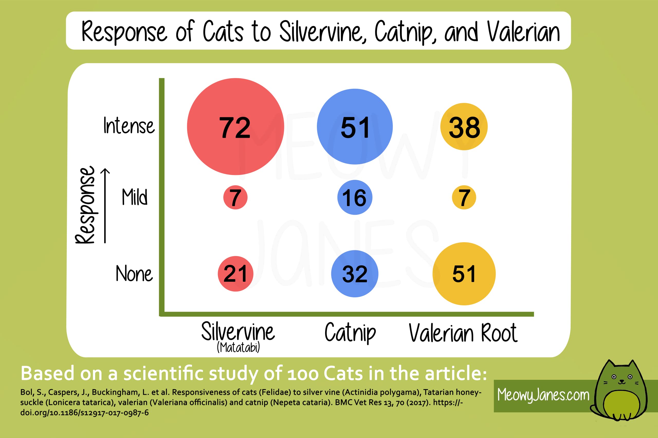 Meowy Janes Matatabi Chew Sticks - An All Natural Silvervine Cat Toy and Cat Treat - Catnip Alternative