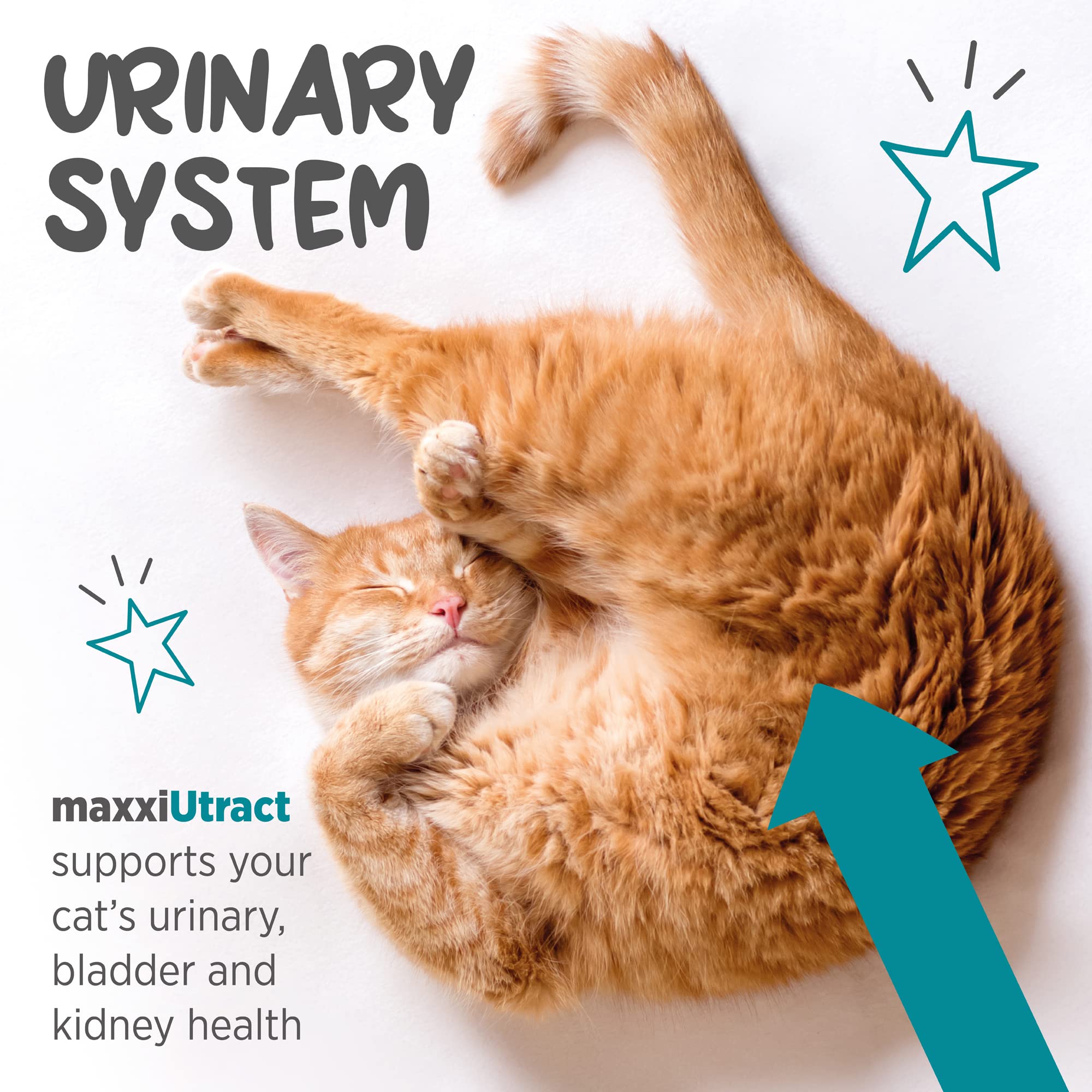 maxxipaws maxxiUtract Urinary & Bladder Support - Powder Supplement for Cats, 2.1oz