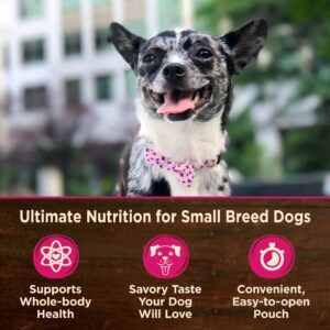 Wellness CORE Natural Grain Free Small Breed Mini Meals Pate Variety Pack, 3-Ounce (Pack of 12)