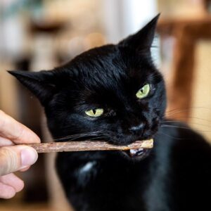 Meowy Janes Matatabi Chew Sticks - An All Natural Silvervine Cat Toy and Cat Treat - Catnip Alternative