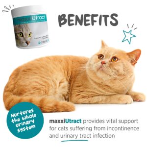 maxxipaws maxxiUtract Urinary & Bladder Support - Powder Supplement for Cats, 2.1oz