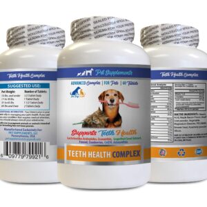 Dog Breath Tablets - Pets Teeth Health Complex - for Dogs and Cats - Support Oral Care - Dog Vitamin c - 1 Bottle (60 Tablets)