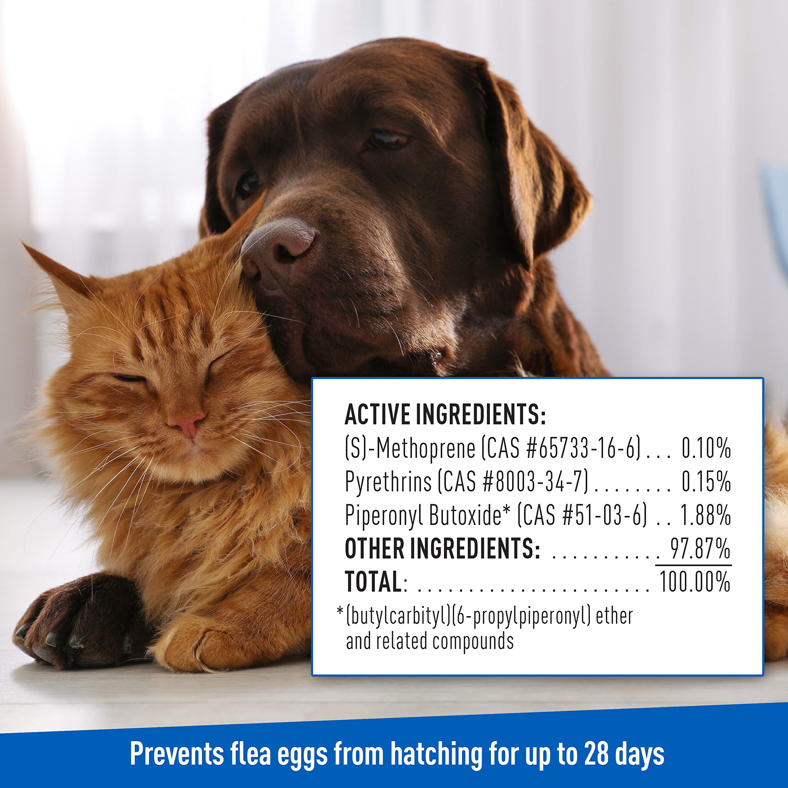 Adams Plus Flea & Tick Shampoo with Precor for Cats, Kittens, Dogs & Puppies Over 12 Weeks Of Age |Sensitive Skin Flea Treatment |Kills Adult Fleas, Flea Eggs, Ticks, and Lice |24 Oz, Pump Included