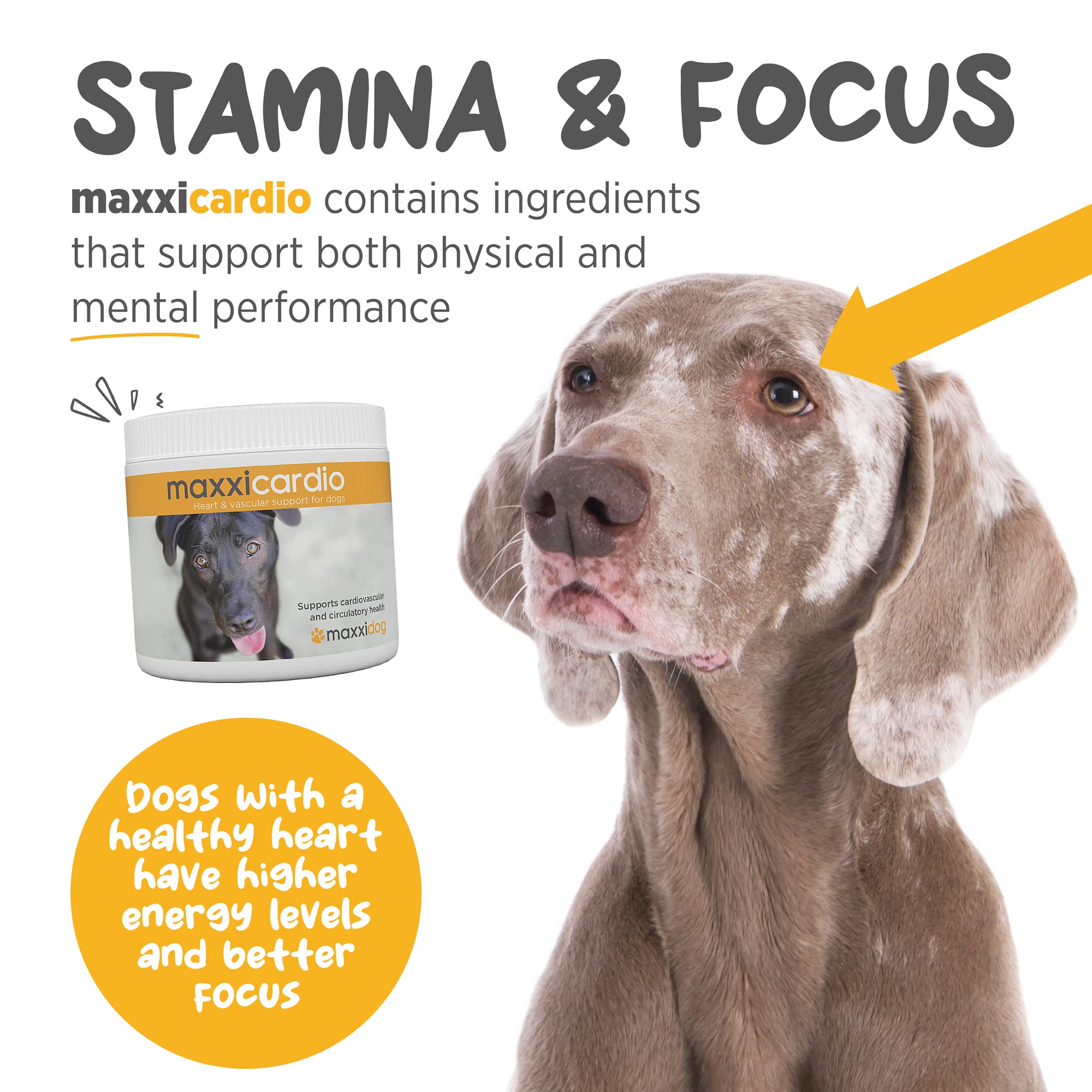 maxxipaws maxxicardio Heart & Cardiovascular Powder Supplement for Dogs, 5.3oz