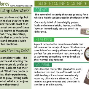 Meowy Janes Matatabi Chew Sticks - An All Natural Silvervine Cat Toy and Cat Treat - Catnip Alternative