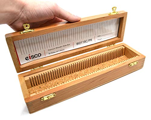 EISCO Wooden Slide Box for Size 45mm x 30mm Slides, Holds 50 Slides, Double Clasp Lid Labs