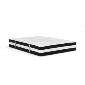 EMMA + OLIVER Astor 12 Inch CertiPUR-US Certified Hybrid Pocket Spring Mattress, Queen Mattress in a Box