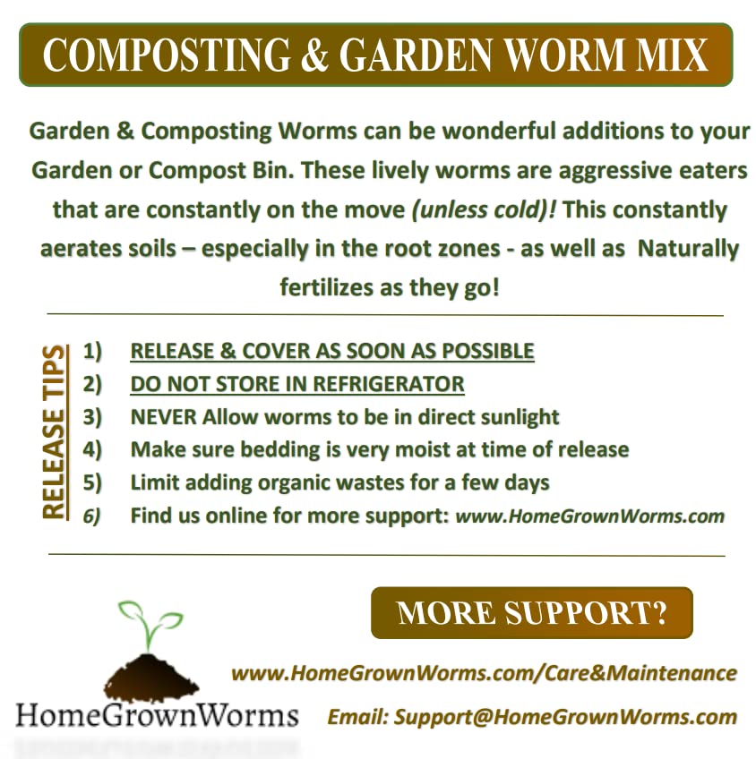 HomeGrownWorms - 250+ (1/4LB) Live Red Wiggler Composting Worms - Live Delivery Guaranteed - Vermicomposting Garden Red Wrigglers - Eisenia Fetida - Wiggle Worm Farm