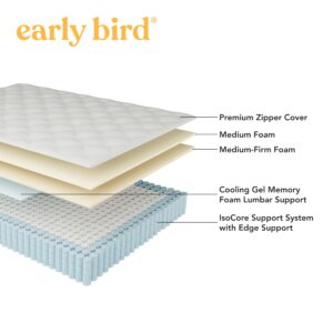 Early Bird Dual Cool 10" Medium Hybrid Mattress