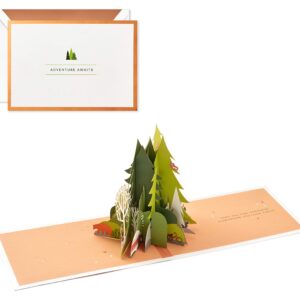 Hallmark Pop Up Birthday Card for Him (Adventure Awaits) Signature Paper Wonder 3D Card