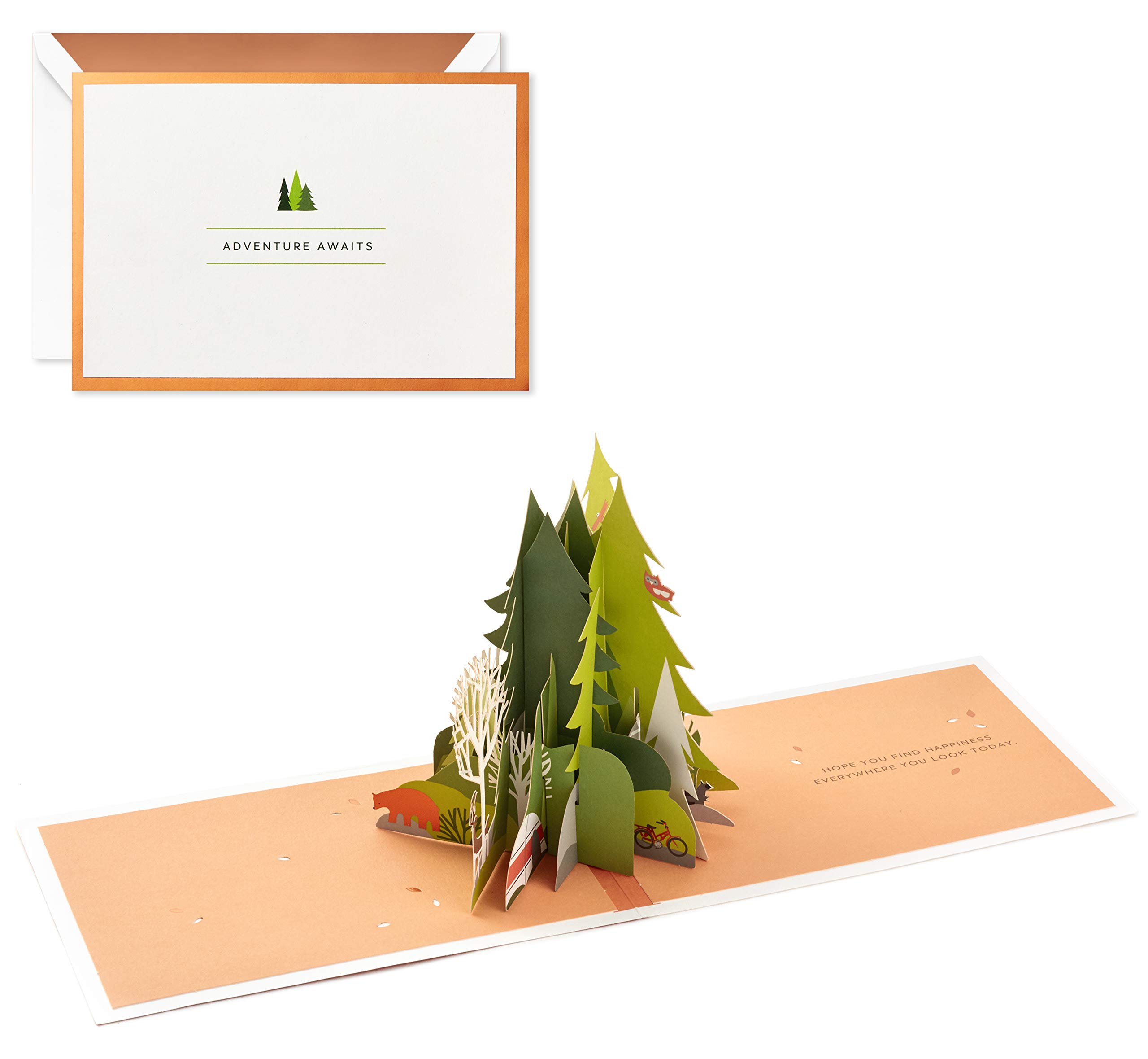 Hallmark Pop Up Birthday Card for Him (Adventure Awaits) Signature Paper Wonder 3D Card