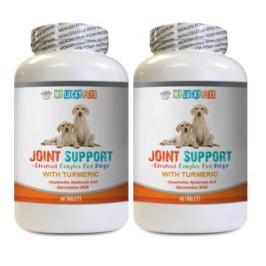 MY LUCKY PETS LLC Dog Joint Health Supplements - Joint Health for Dogs - with Turmeric MSM and More - Support Healthy Cartilage - Dog glucosamine Chews - 120 Tablets (2 Bottles)