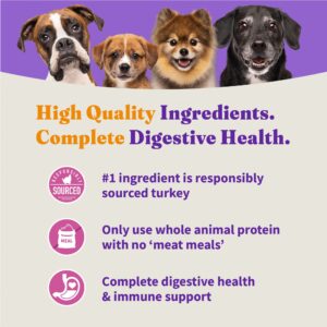 Halo Holistic Dog Food, Complete Digestive Health Grain Free Cage-Free Turkey and Sweet Potato Recipe, Healthy Weight Support, Dry Dog Food Bag, Adult Formula, 21-lb Bag