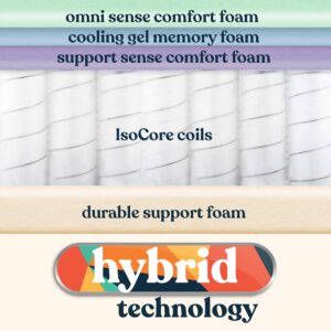 Early Bird Dual Cool 10" Medium Hybrid Mattress