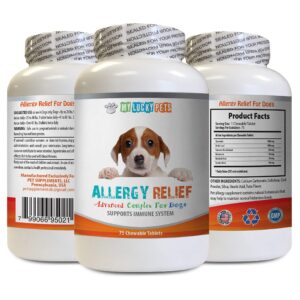 MY LUCKY PETS LLC Dog Allergy chewables - Allergy Relief for Dogs Itch Relief Support - Key Ingredients - Dog Treats with quercetin - 1 Bottle (75 Chewable Tablets)