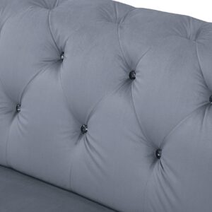 ACME Sofa, Gray Velvet