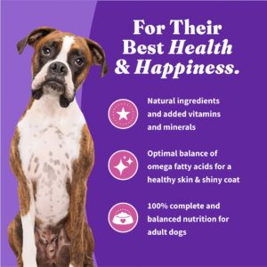 Halo Holistic Dog Food, Complete Digestive Health Grain Free Cage-Free Turkey and Sweet Potato Recipe, Healthy Weight Support, Dry Dog Food Bag, Adult Formula, 21-lb Bag