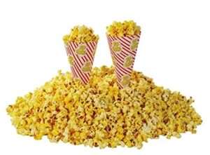 popcorn supply company | cone-o-corn popcorn cups | pack of 250