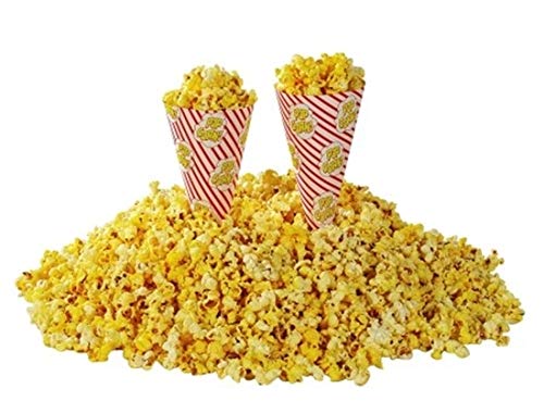 Popcorn Supply Company | Cone-O-Corn Popcorn Cups | Pack of 250