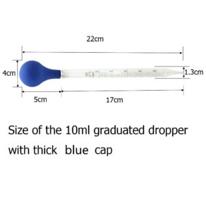 OESS Glass Graduated Dropper Pipettes with Blue Rubber Caps 10ml Pk/2