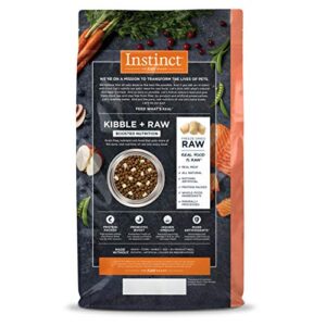 Instinct Raw Boost Grain Free Recipe with Real Salmon Natural Dry Dog Food by Nature's Variety, 4 lb. Bag