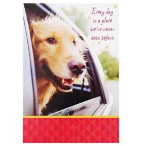 greeting card hope today you enjoy looking back on all your achievements and looking forward to many new adventures! - happy birthday with golden retriever labrador