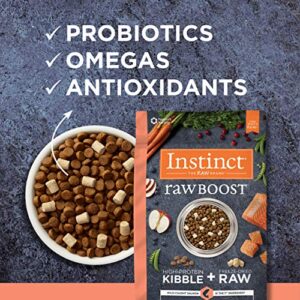 Instinct Raw Boost Grain Free Recipe with Real Salmon Natural Dry Dog Food by Nature's Variety, 4 lb. Bag