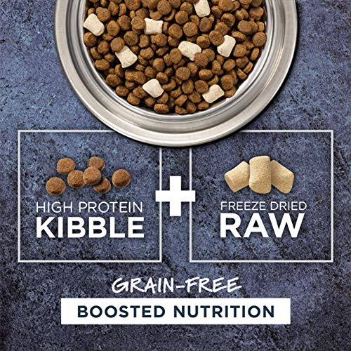 Instinct Raw Boost Grain Free Recipe with Real Salmon Natural Dry Dog Food by Nature's Variety, 4 lb. Bag