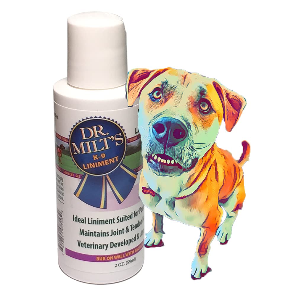 Dr. Milt's Dog Hip and Joint Pain Relief Spray and Gel, Topical Magnesium Sulfate & Arnica Ointment. Reduces Inflammation, Lessens Tenderness and Alleviates Nervousness. 1-2oz Gel