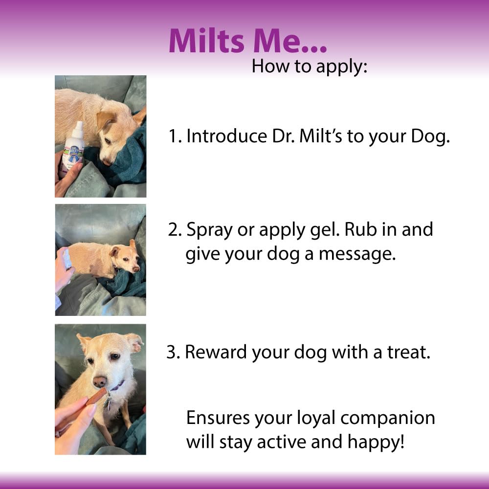 Dr. Milt's Dog Hip and Joint Pain Relief Spray and Gel, Topical Magnesium Sulfate & Arnica Ointment. Reduces Inflammation, Lessens Tenderness and Alleviates Nervousness. 1-2oz Gel