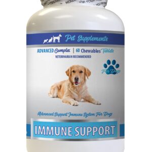 PET SUPPLEMENTS & NUTRITION LLC Dog Immune Support - Advanced Dog Immune Support - Veterinarian Recommended Complex - Dog Turmeric Treat - 1 Bottle (60 Treats)