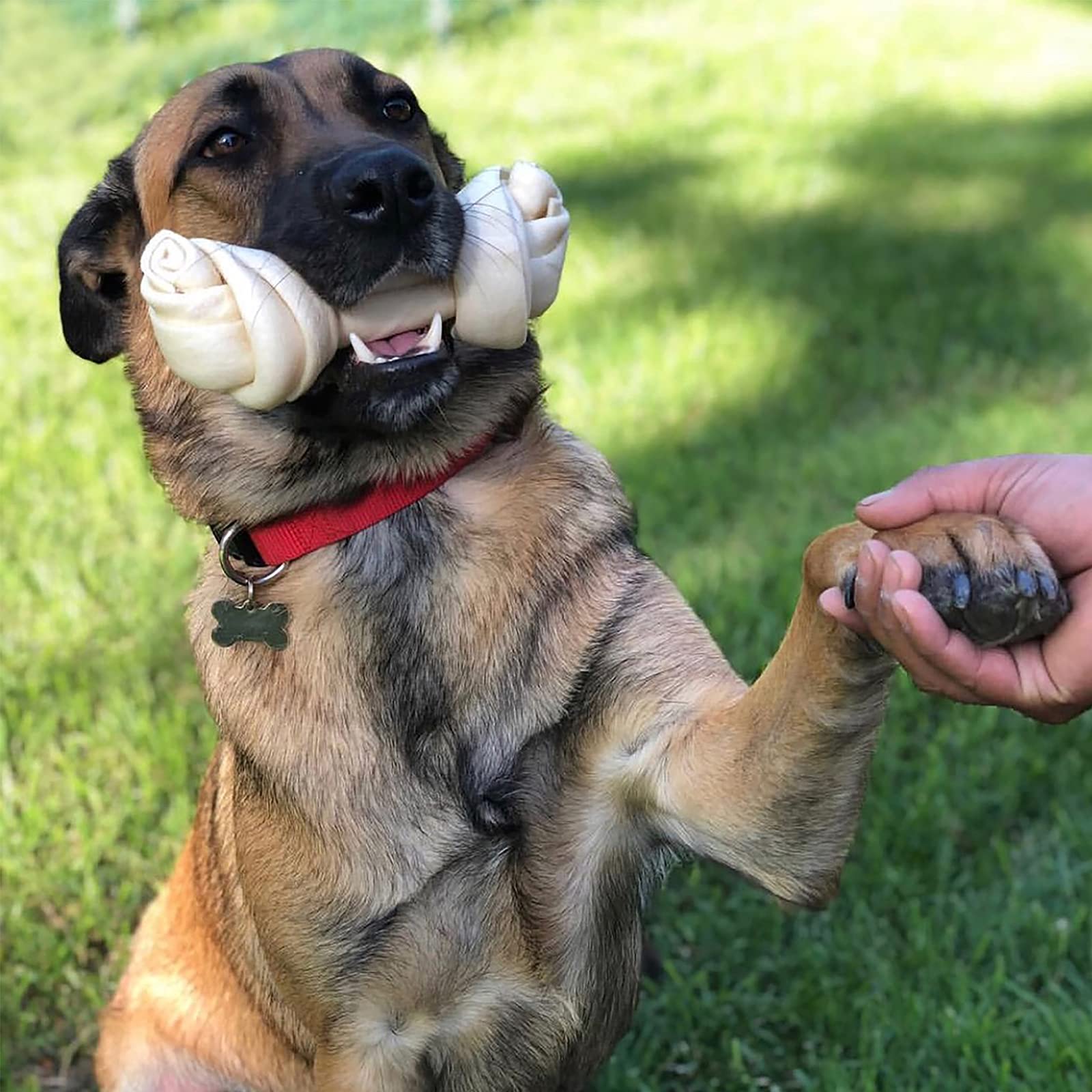 Pet Factory American Beefhide 12" Knotted Bone Dog Chew Treat - Natural Flavor, 1 Count/1 Pack