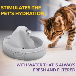 Aqua Flow Premium Pet Water Fountain - Automatic Dispenser Drinking Bowl for Cats and Dogs - Anti-Hair Drainage System - Replaceable Filters - Ideal for Multiple Pets - 52 up to 120 fl oz - Gray