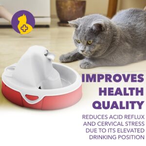 Aqua Flow Premium Pet Water Fountain - Automatic Dispenser Drinking Bowl for Cats and Dogs - Anti-Hair Drainage System - Replaceable Filters - Ideal for Multiple Pets - 52 up to 120 fl oz - Gray