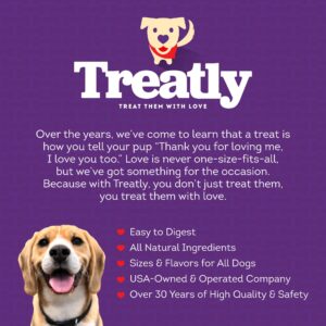 Treatly USA Collagen Braids 6-7" Dog Chew Treats - Natural Flavor, 6 Count/1 Pack